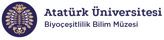 Atatürk Üniversitesi Biyoçeşitlilik Bilim Müzesi – Bir başka WordPress ...